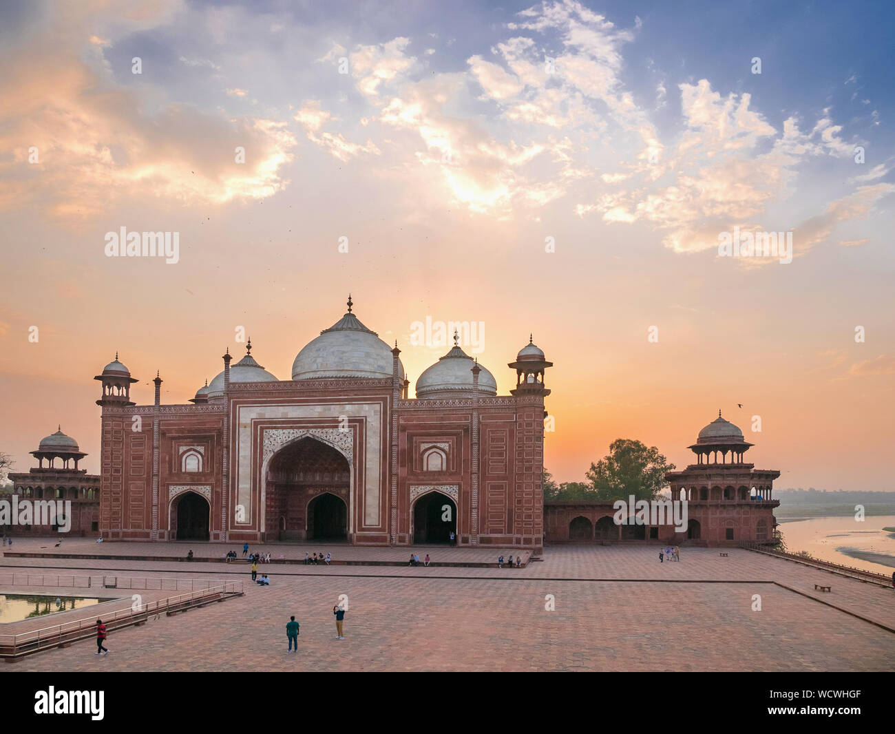 India uttar pradesh agra birds hi-res stock photography and images - Alamy