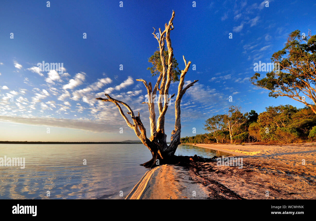 Noosa sunshine coast hi-res stock photography and images - Alamy