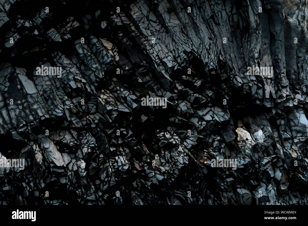 Burnt tree hi-res stock photography and images - Alamy