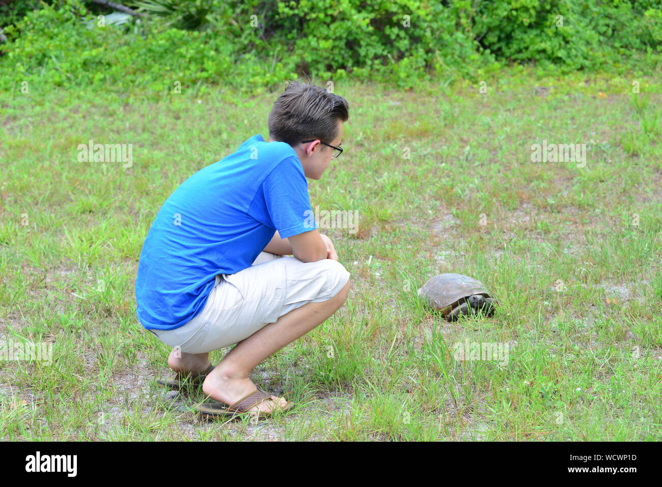 Teenage boy observing a Gopher Tortoise in Florida while keeping a ...