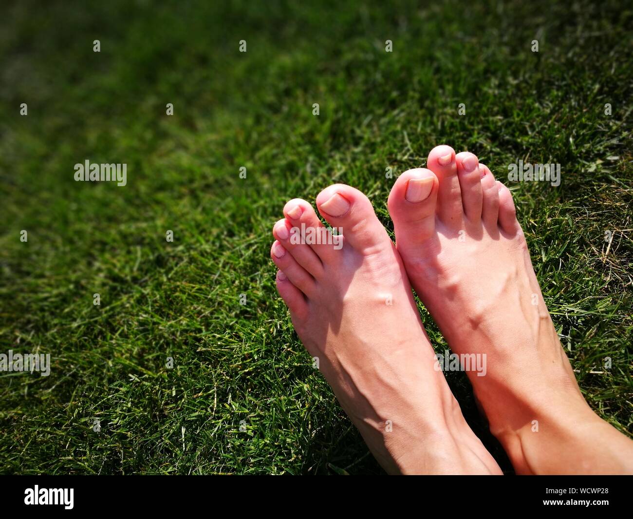 Toe toe grass hi-res stock photography and images - Alamy