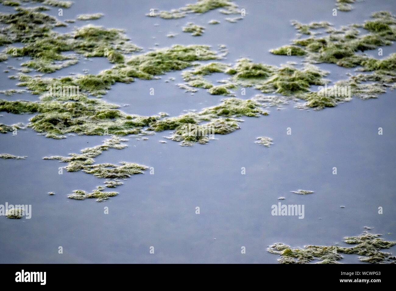 Floating dirt hi-res stock photography and images - Alamy