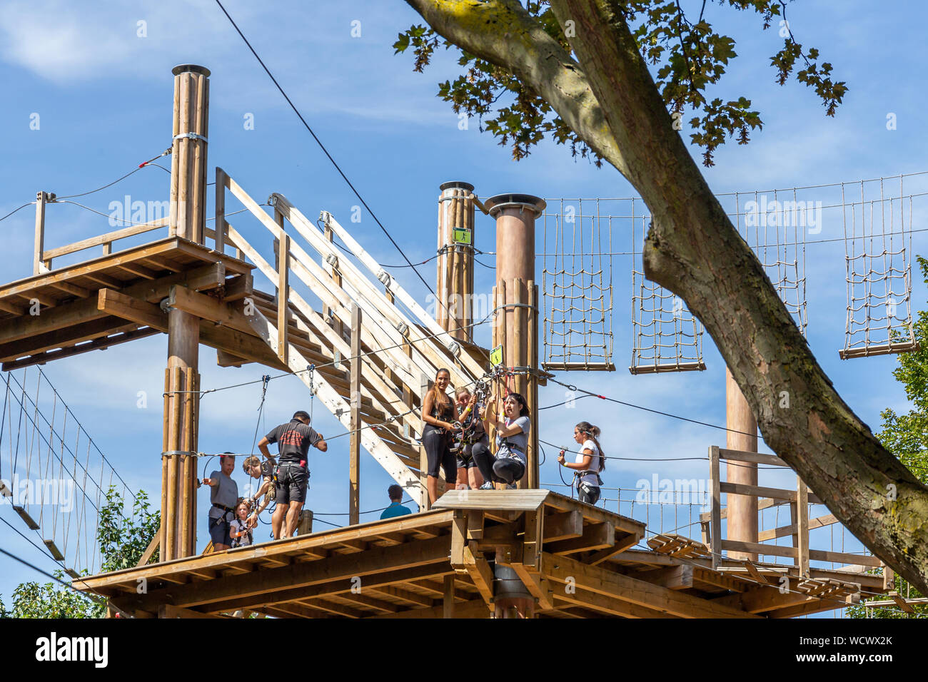 Go ape hi-res stock photography and images - Alamy