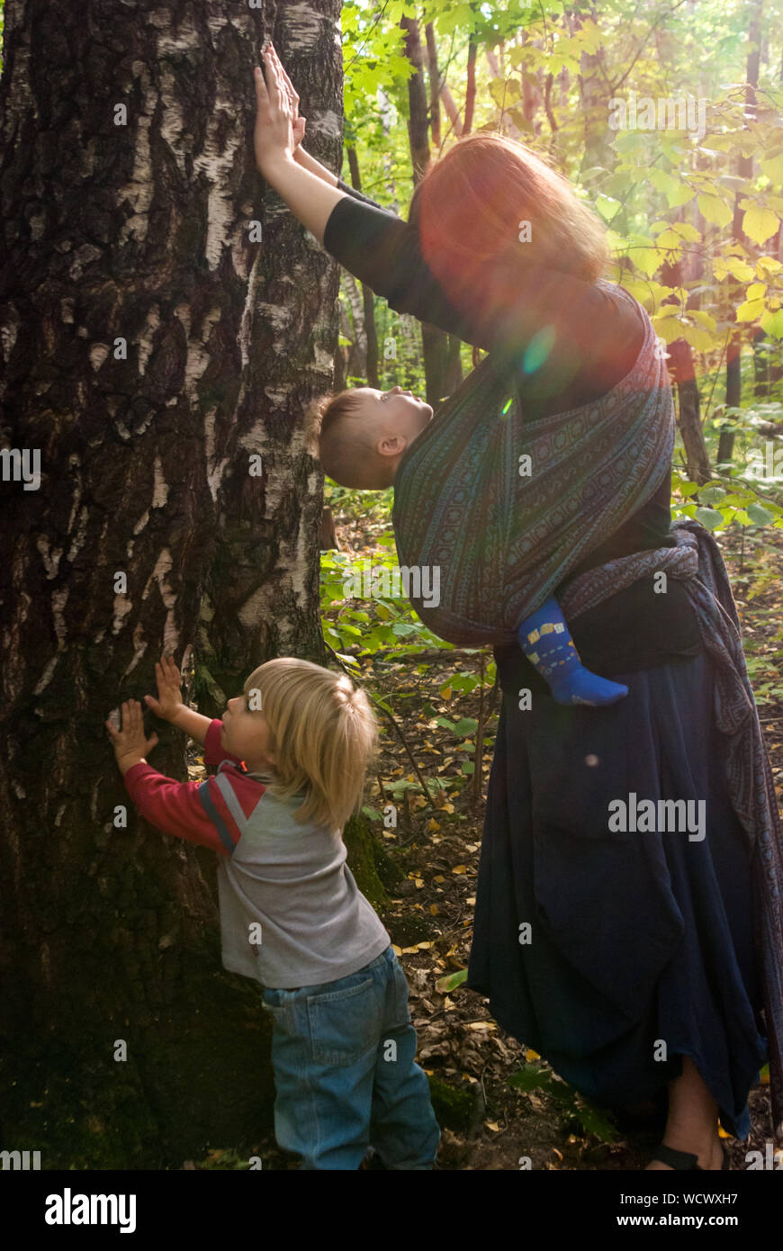 Children in tree hi-res stock photography and images - Alamy