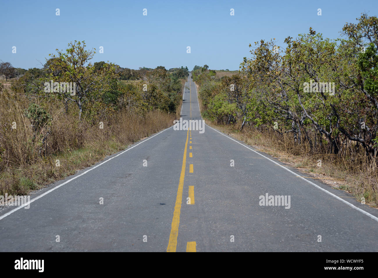 Road to Pocone, Pantanal, Mato Grosso, Brazil, South America Stock ...