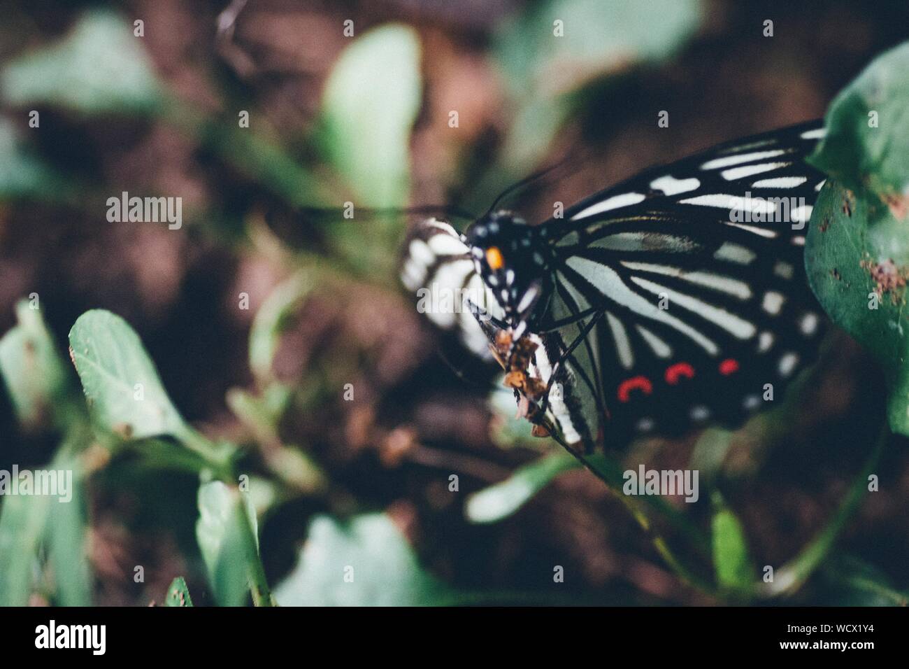 View underneath markings hi-res stock photography and images - Alamy
