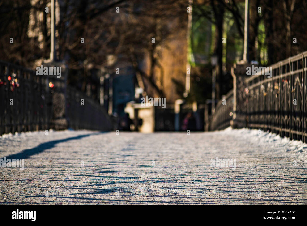 Treelined road in winter hi-res stock photography and images - Alamy