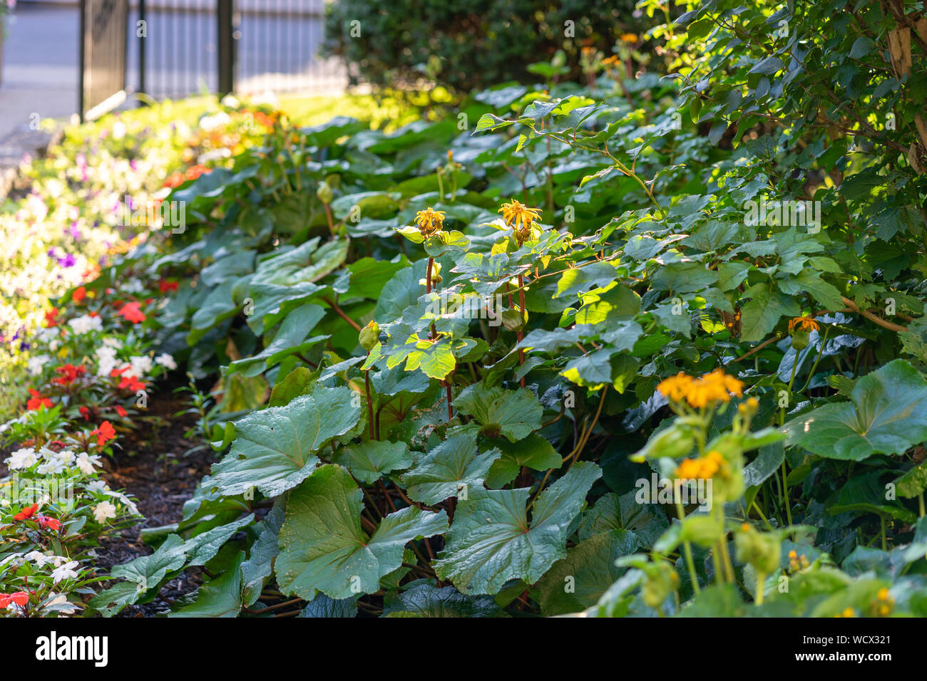 Summer nature in Toronto is worth thousands of photographs Stock Photo ...
