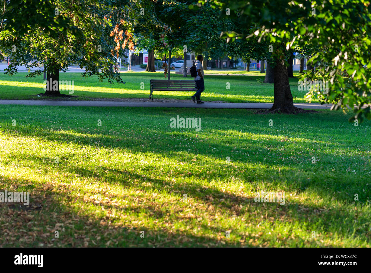 Green neighbourhoods toronto hi-res stock photography and images - Alamy