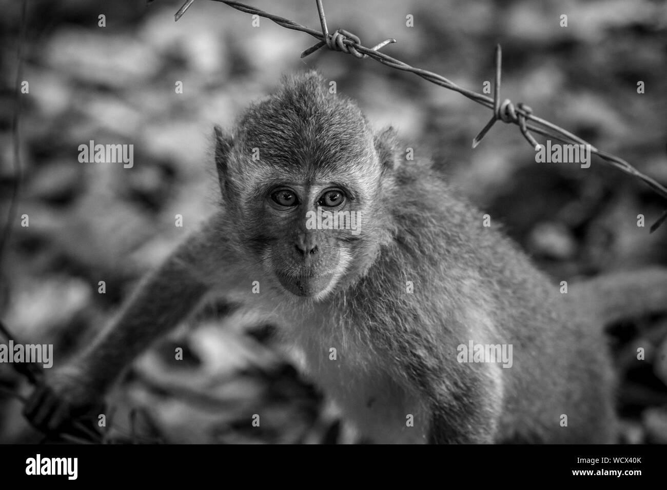 Angle eye view Black and White Stock Photos & Images - Alamy