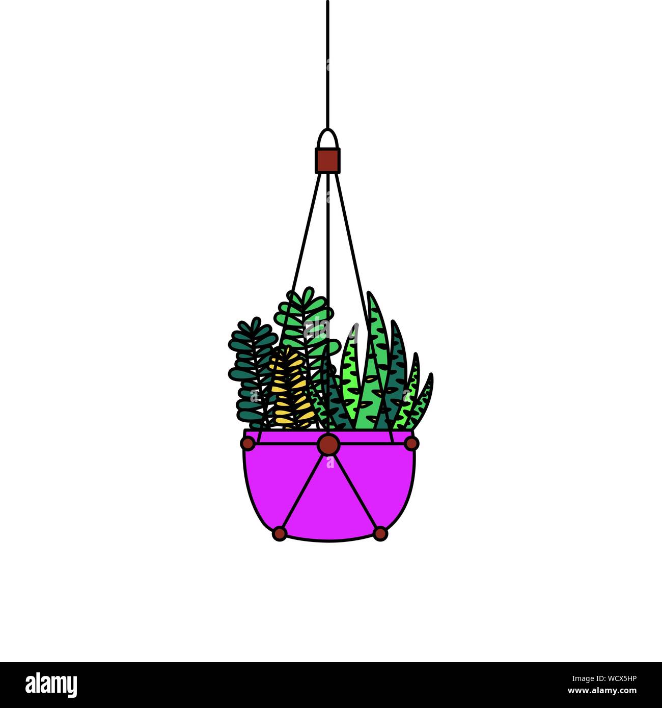 Hanging plant inside pot vector design Stock Vector Image & Art - Alamy