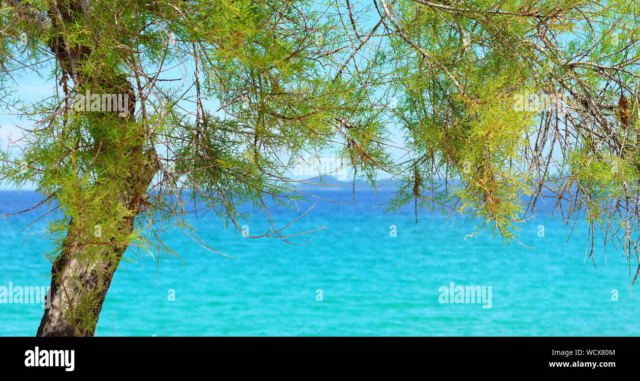 Seascape, Ierissos beach, Chalkidiki, Greece Stock Photo - Alamy