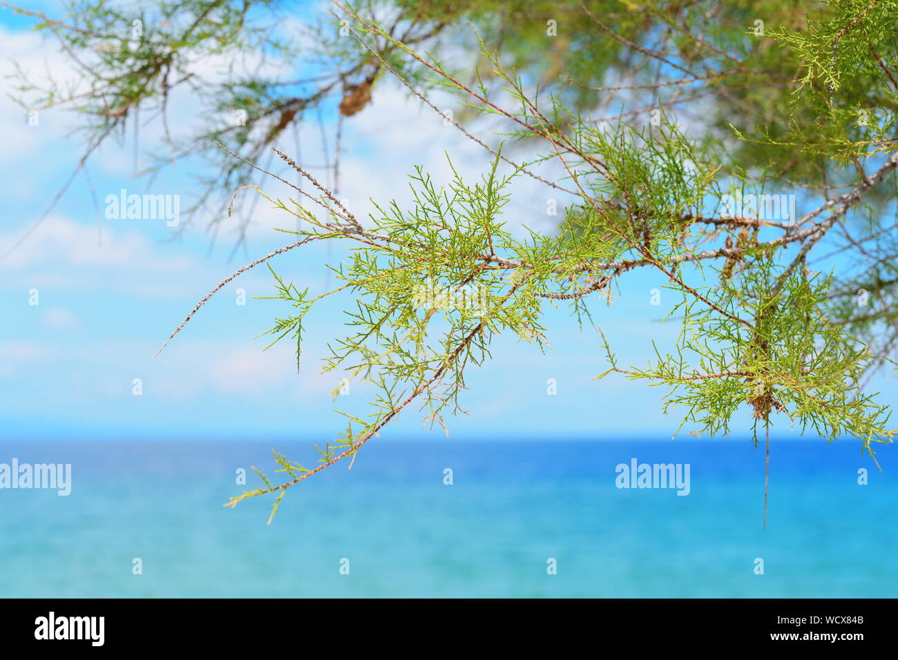 Ierissos beach hi-res stock photography and images - Alamy