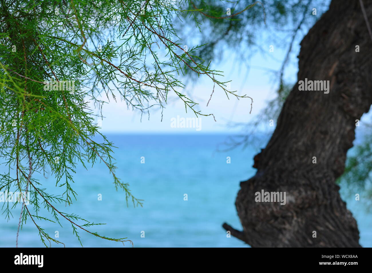 Seascape, Ierissos beach, Chalkidiki, Greece Stock Photo - Alamy