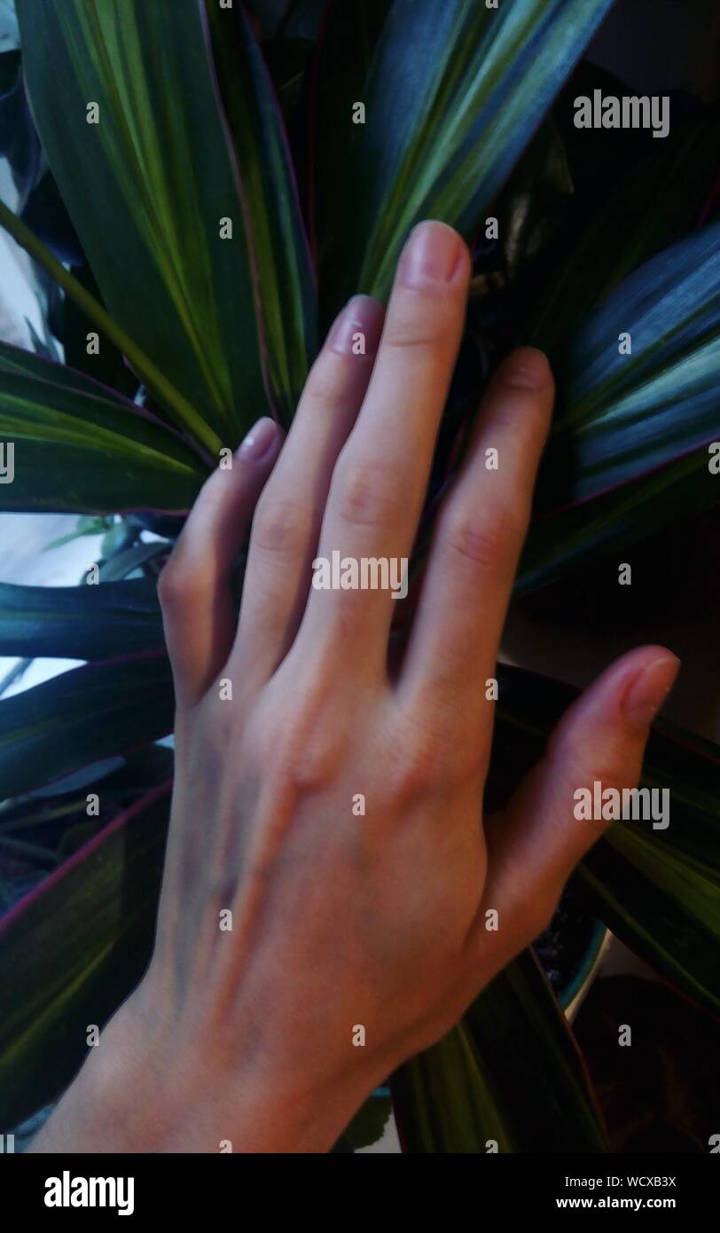 Finger touching plants hi-res stock photography and images - Alamy