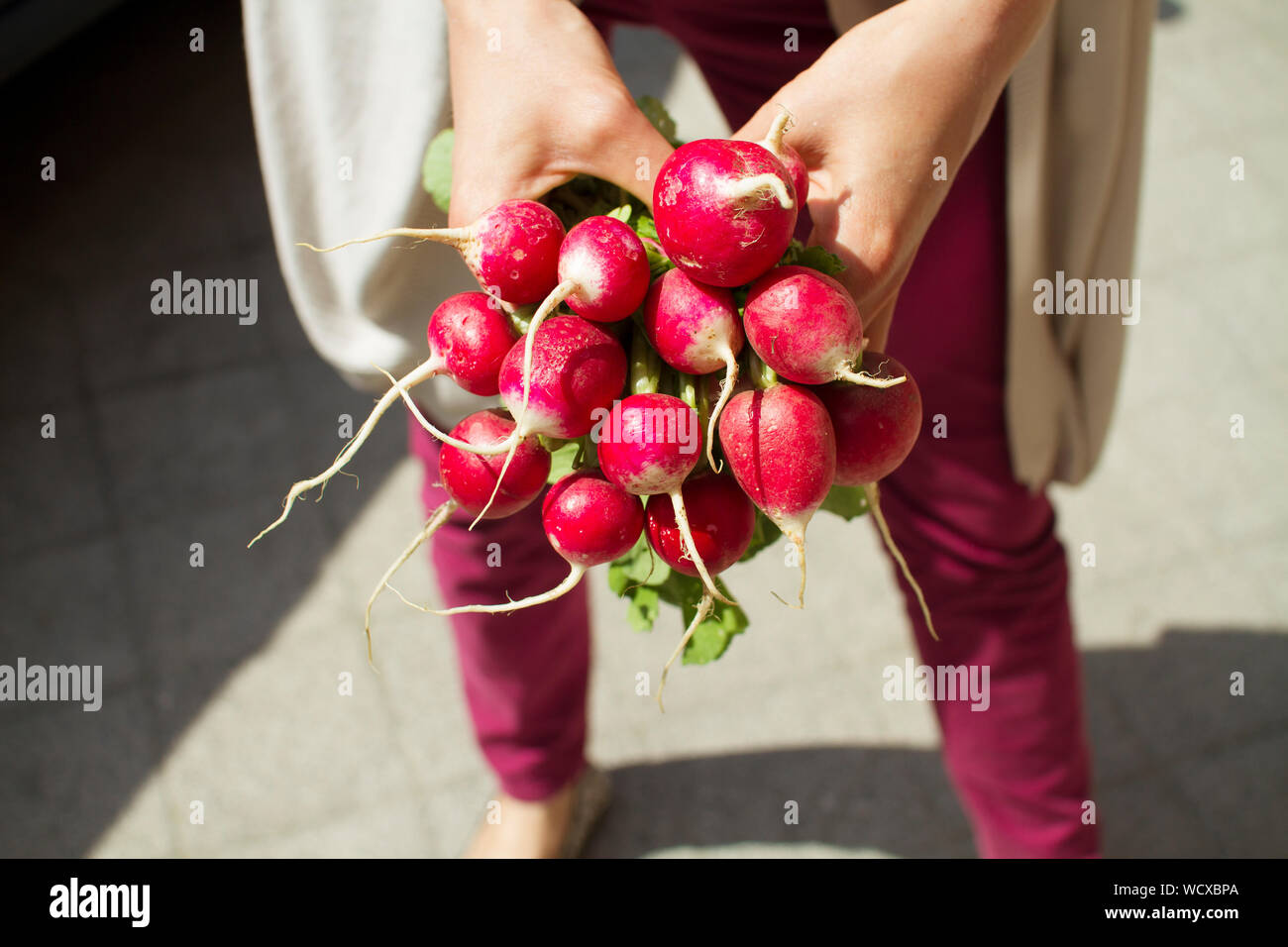 Holding radish hi-res stock photography and images - Alamy