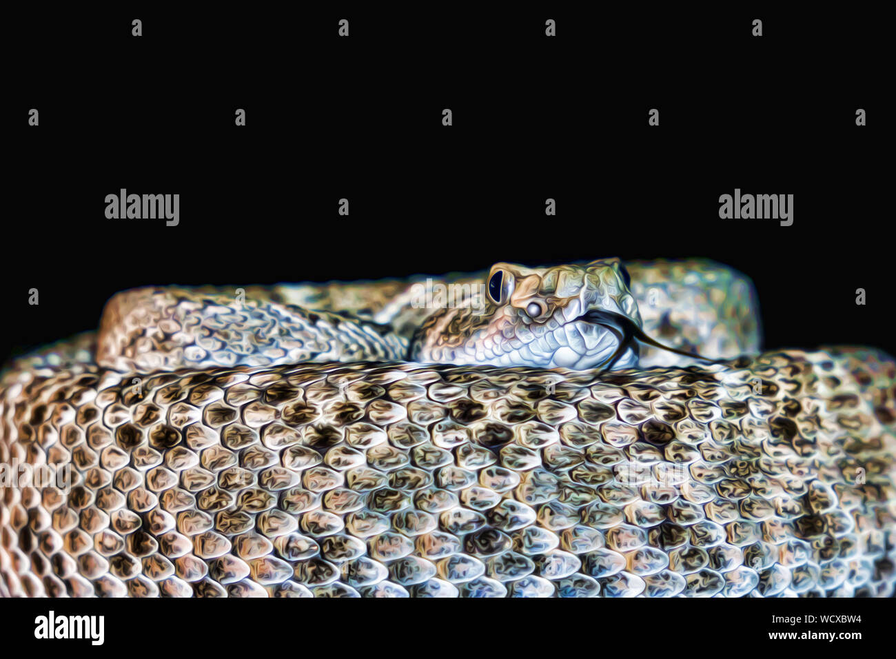 Coiled snake illustration hi-res stock photography and images - Alamy