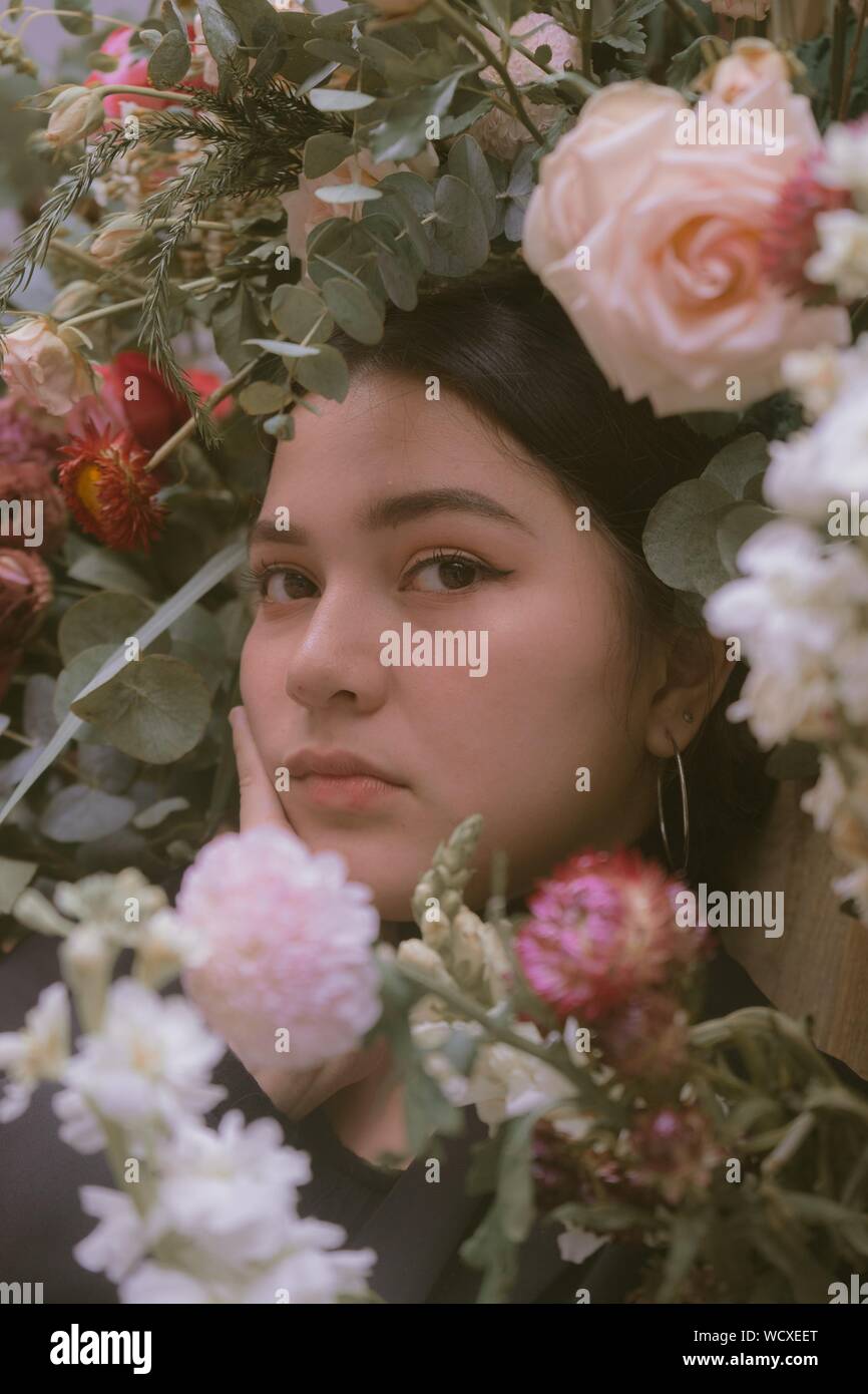 Beautiful indian roses hi-res stock photography and images - Alamy