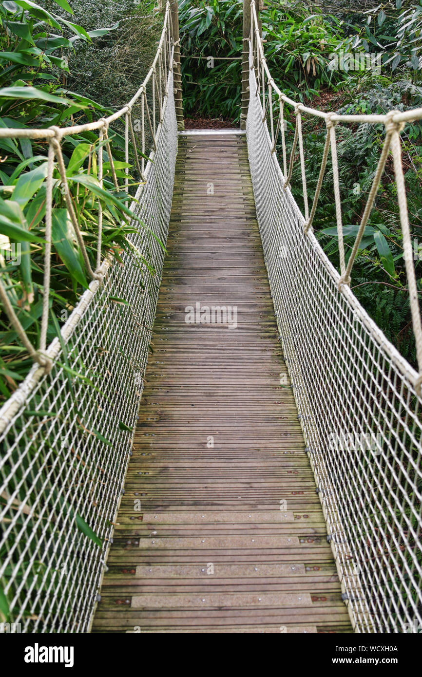 Bridge Construction Africa Stock Photos & Bridge Construction Africa ...