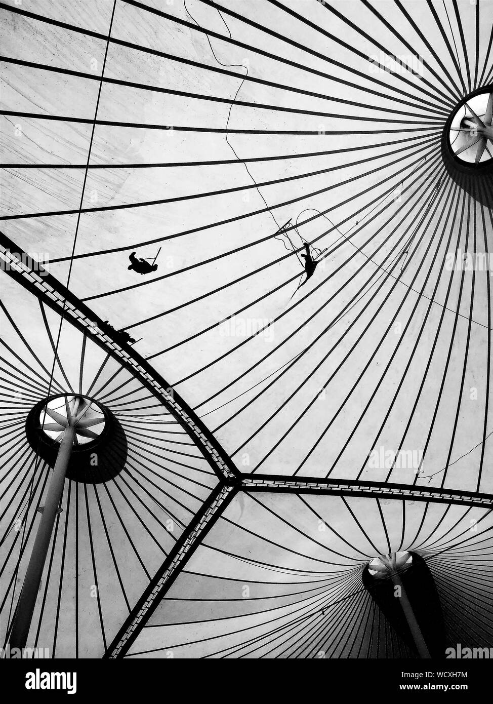 Trapeze artists teamwork hi-res stock photography and images - Alamy