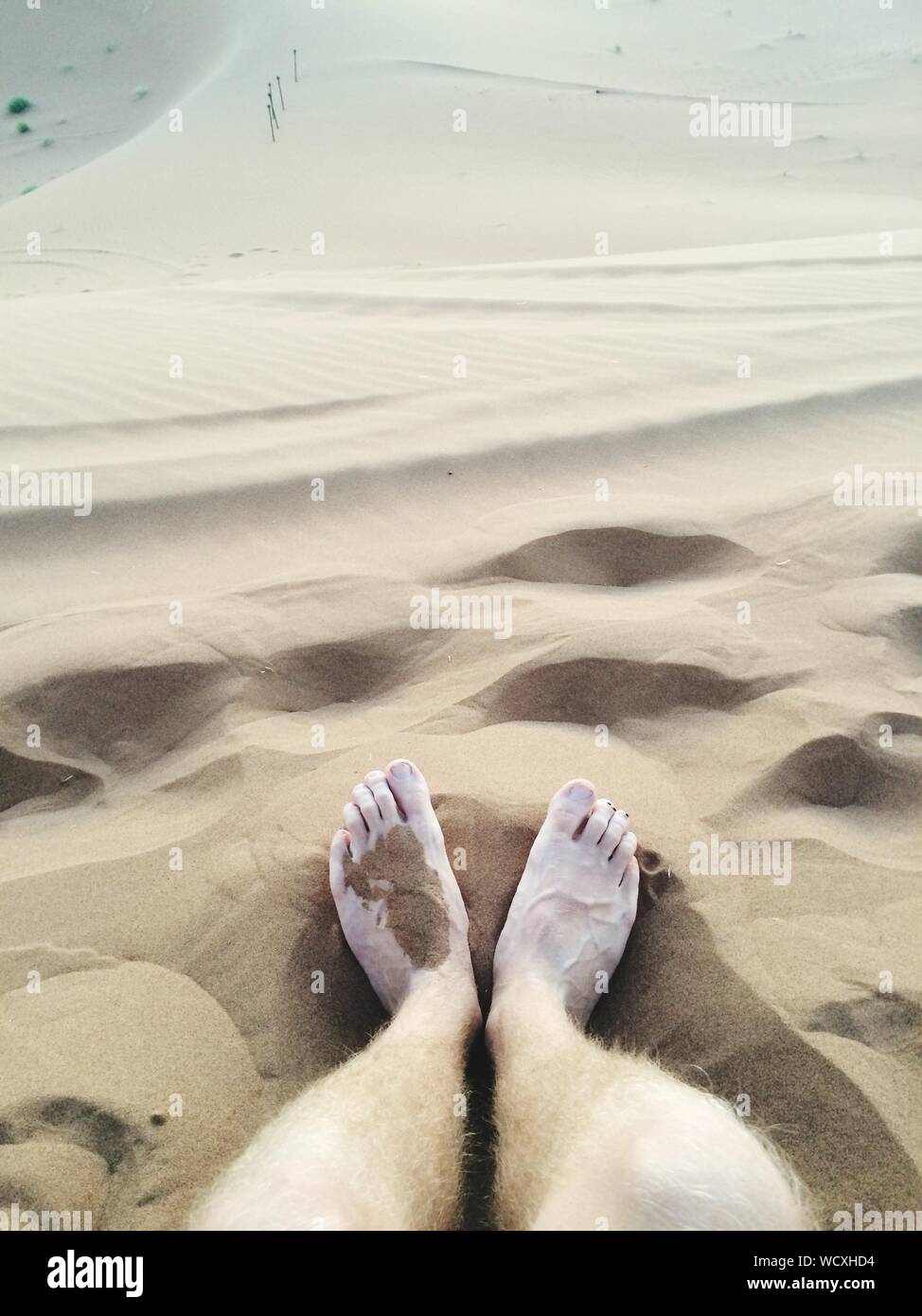 Person Standing On Sand Dune High Resolution Stock Photography and ...