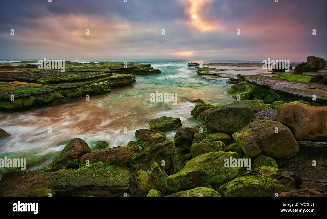 Moss covered rocks in sea hi-res stock photography and images - Alamy