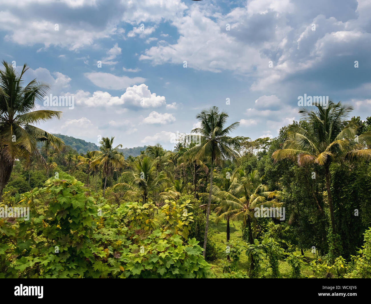Kerala Climate Stock Photos & Kerala Climate Stock Images - Alamy