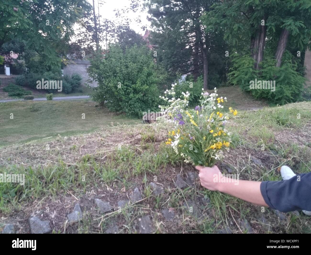 Hand scenery hi-res stock photography and images - Alamy