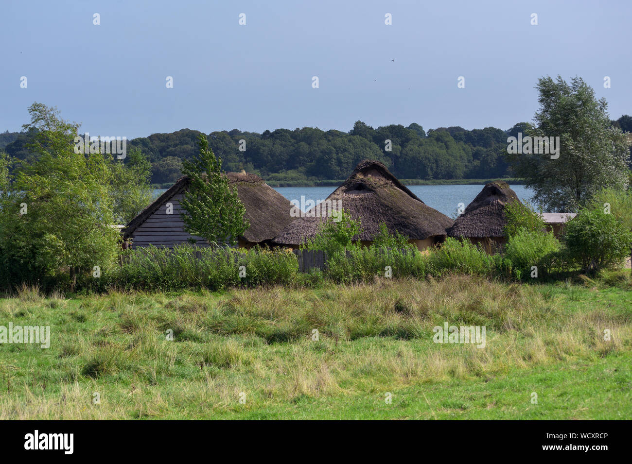 Historic thatched roof houses in the viking village of Hedeby on the ...