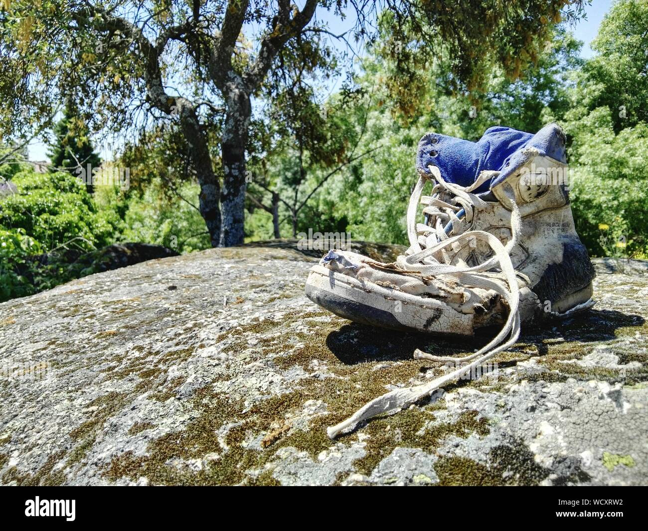Rock Shoe High Resolution Stock Photography and Images - Alamy