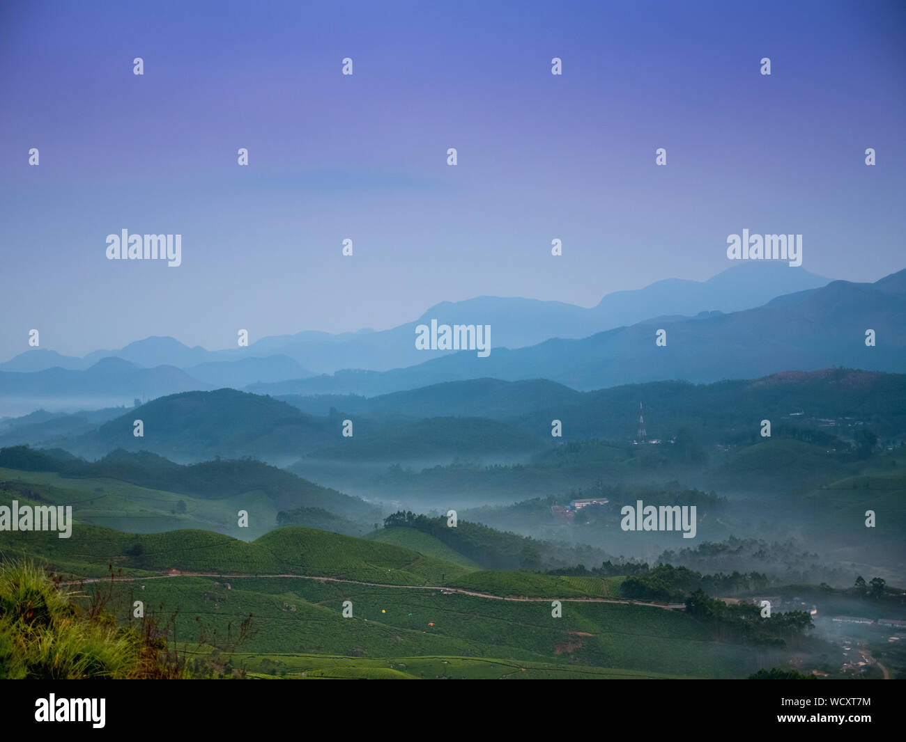 Sunrise over Tea Plantation near Munnar, Idukki District, Kerala, India ...