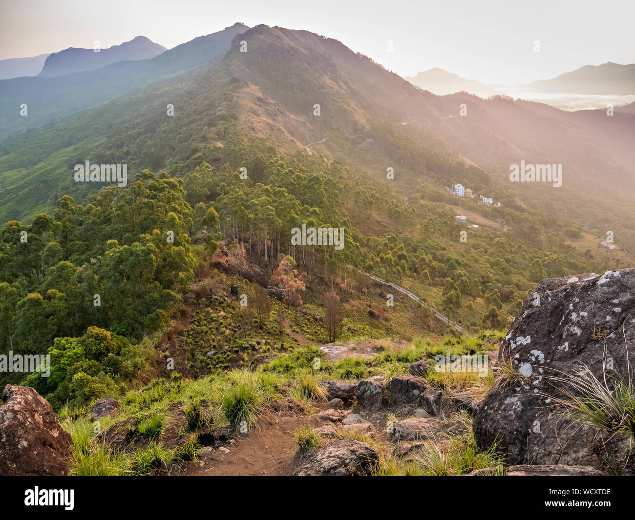 Sunrise over Tea Plantation near Munnar, Idukki District, Kerala, India ...