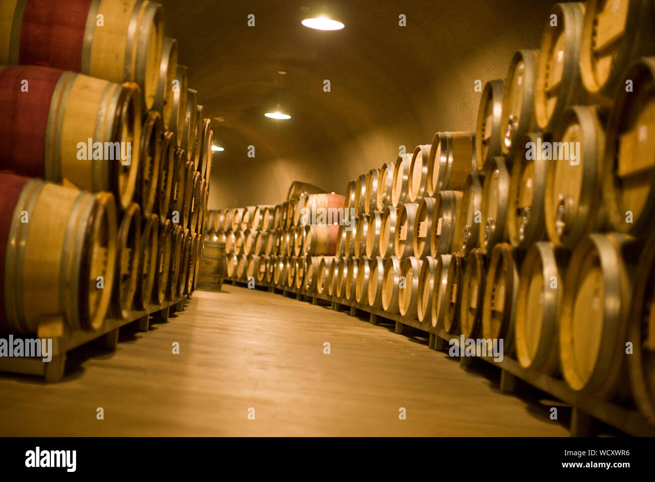 Windowless room filled with rows of wooden barrels Stock Photo - Alamy