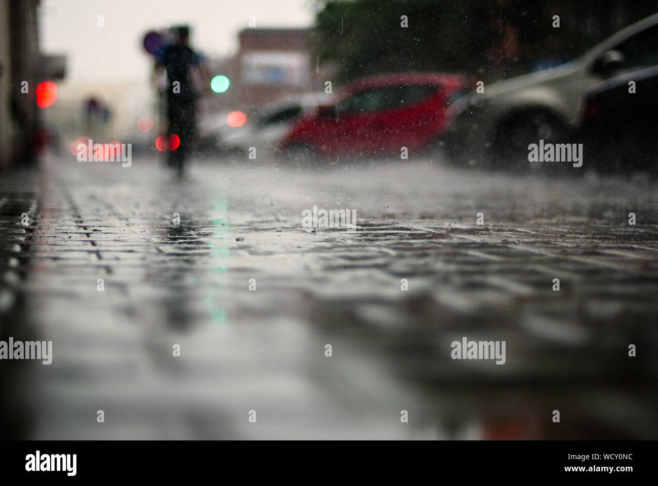 Torrential rain on road High Resolution Stock Photography and Images ...