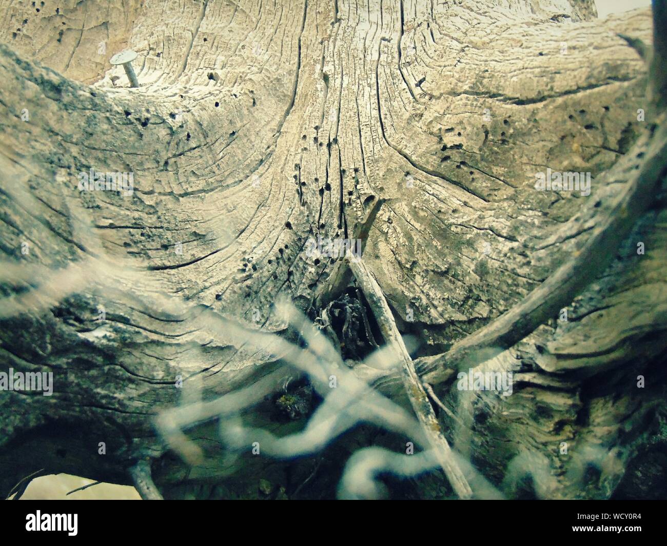 Close up patterns hi-res stock photography and images - Alamy