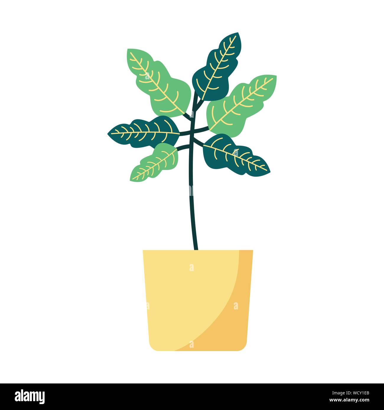 Isolated plant inside pot vector design Stock Vector Image & Art - Alamy