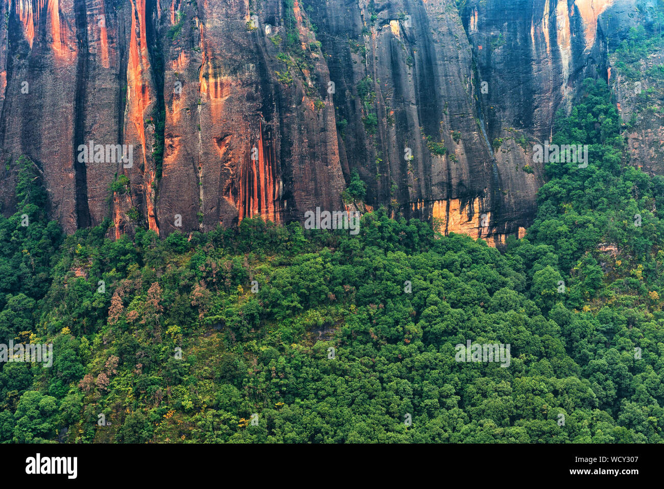 Rocky mountain forest hi-res stock photography and images - Alamy