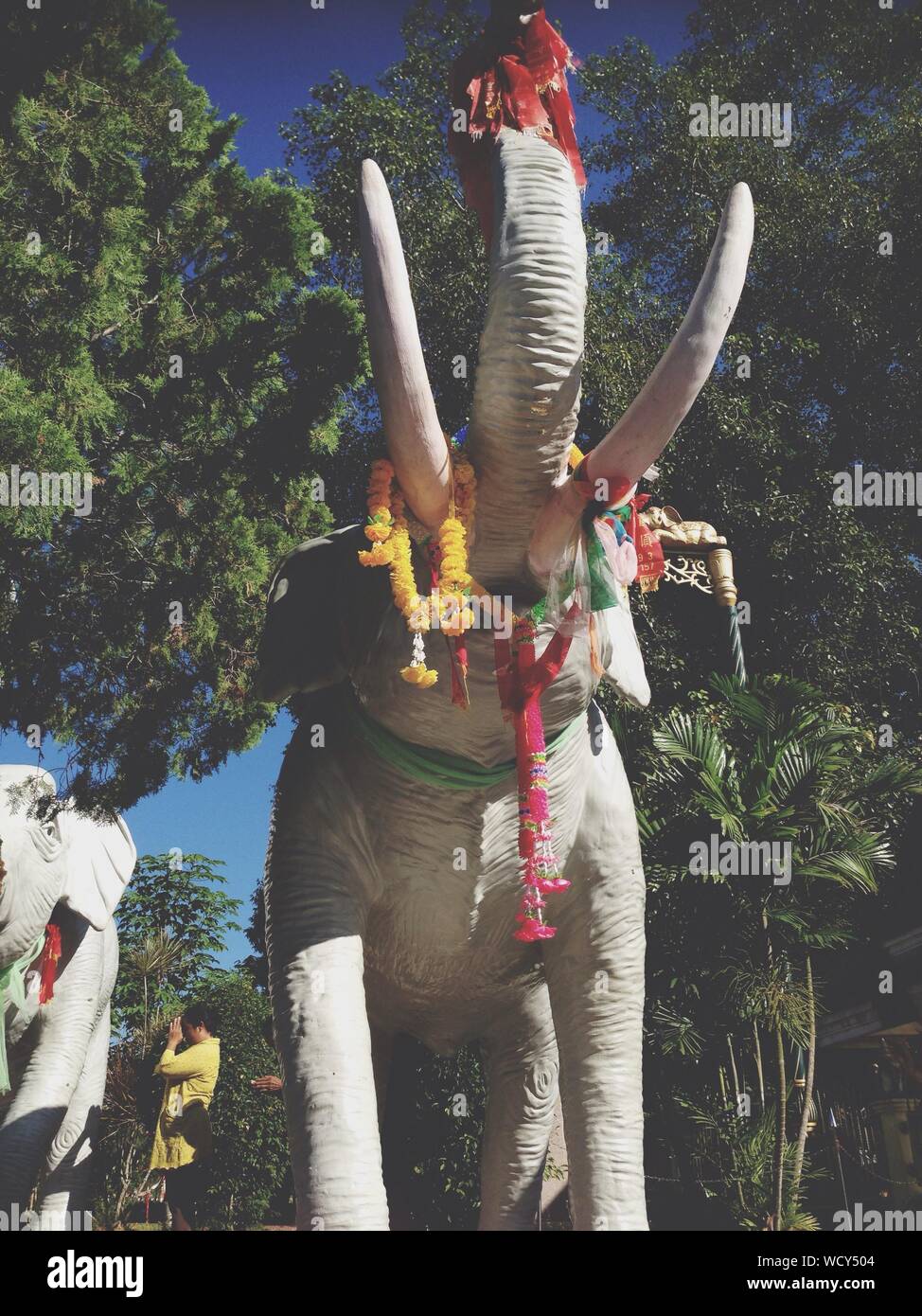 Worshiper hi-res stock photography and images - Alamy