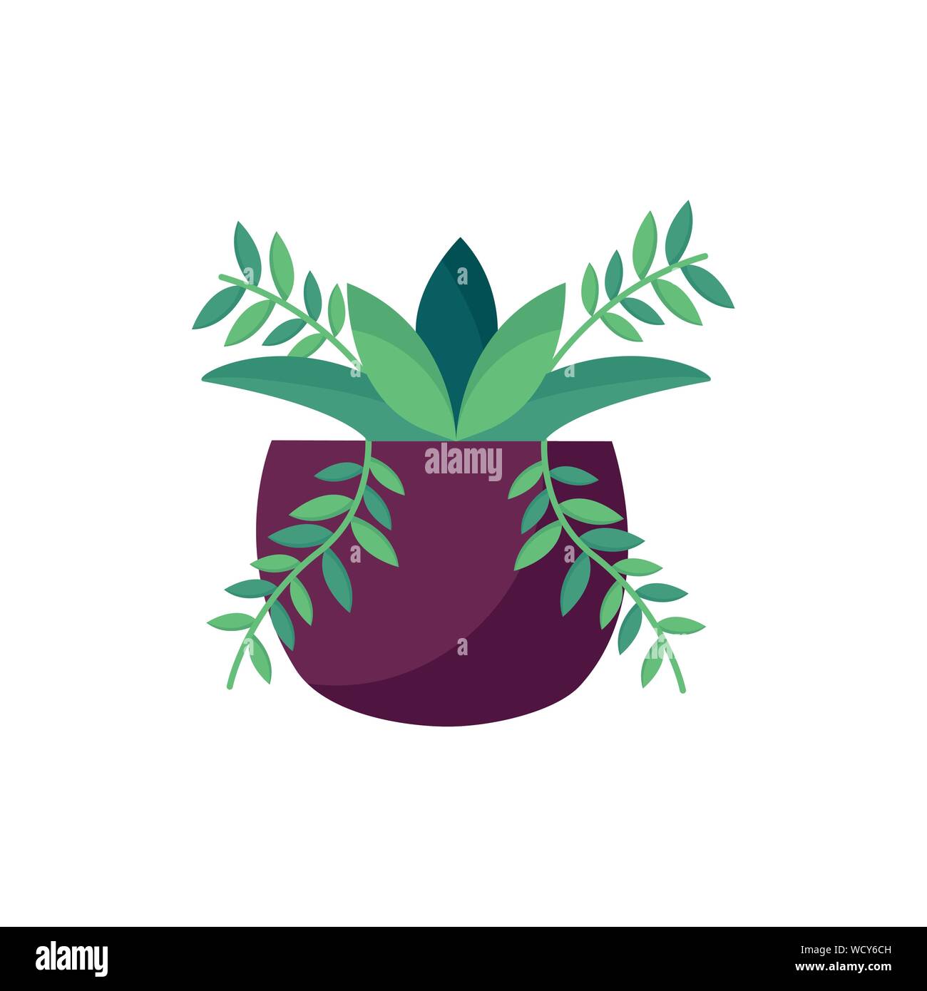 Isolated plant inside pot vector design Stock Vector Image & Art - Alamy