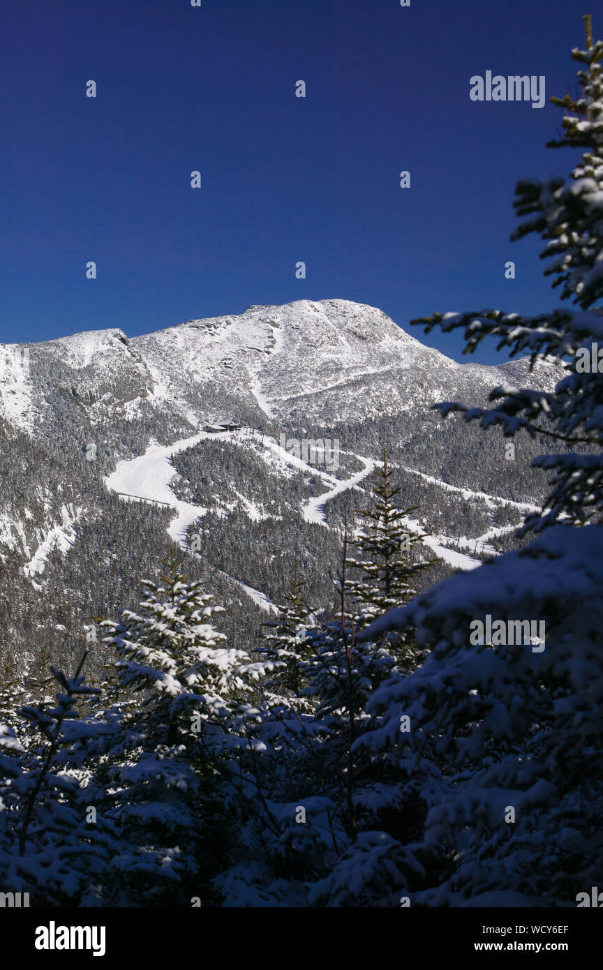 Ski trails on the top of Mt. Mansfield, Stowe Mountain Resort, Stowe ...