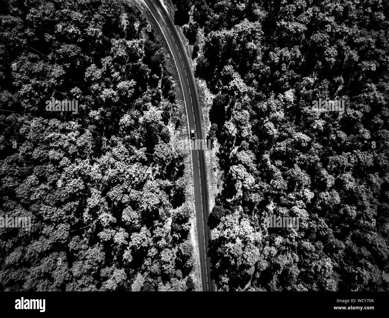 Aerial view of road through forest hi-res stock photography and images ...