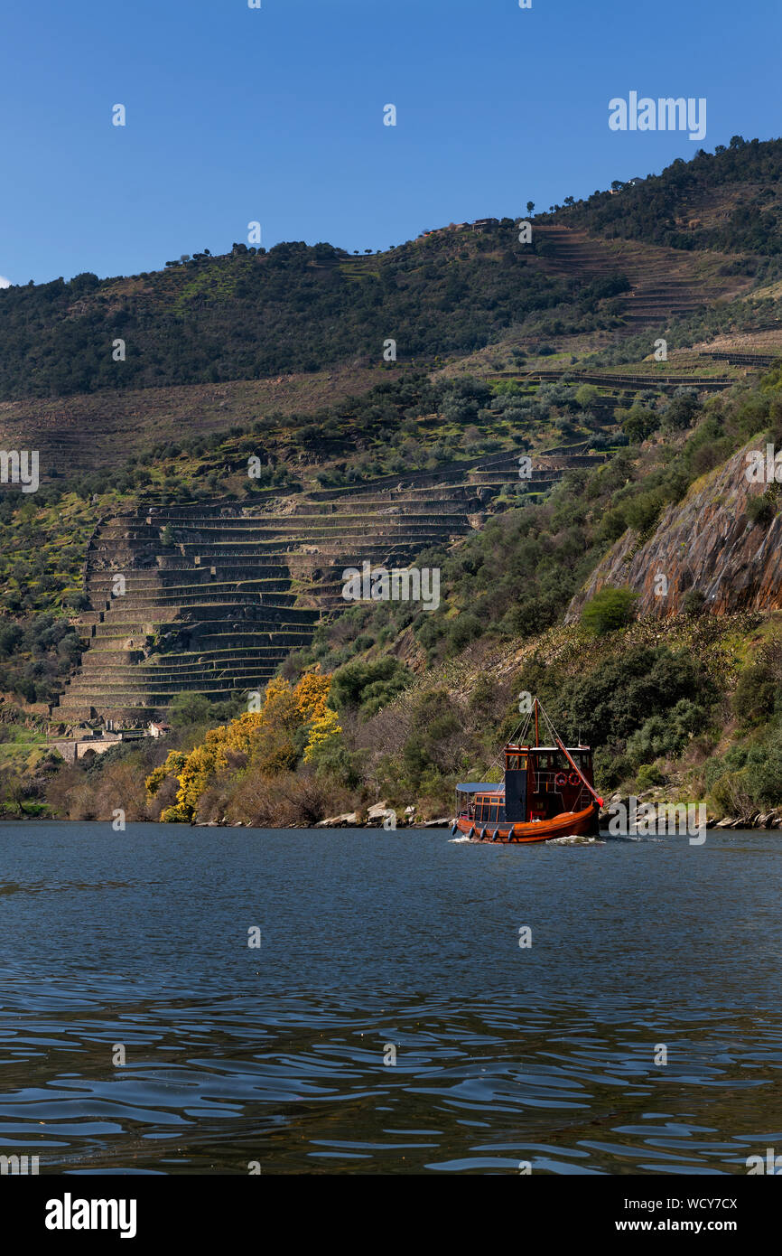 Douro valley rabelo boat pinhao hi-res stock photography and images - Alamy