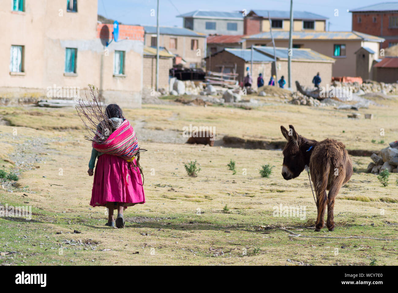 Rear of donkey hi-res stock photography and images - Alamy