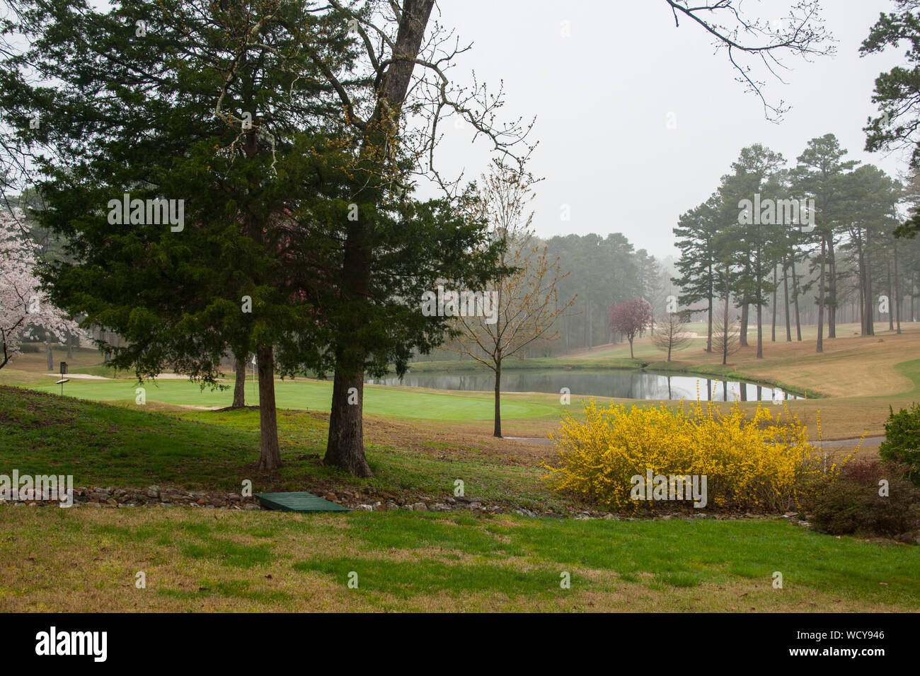 Spring Tree Blooms, Hot Springs, Arkansas Stock Photo - Alamy