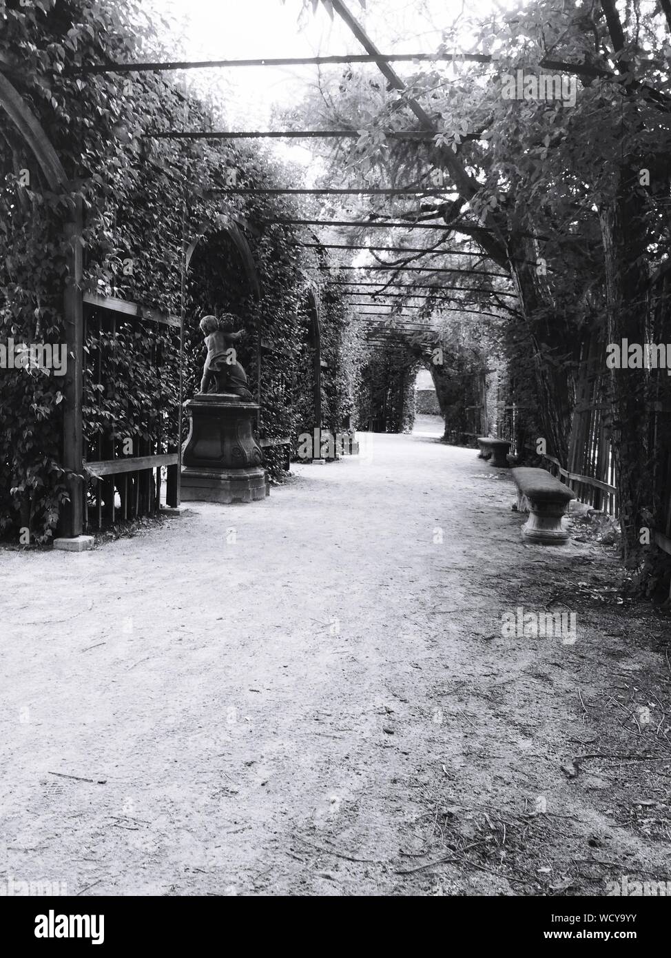 Long pathway hi-res stock photography and images - Alamy