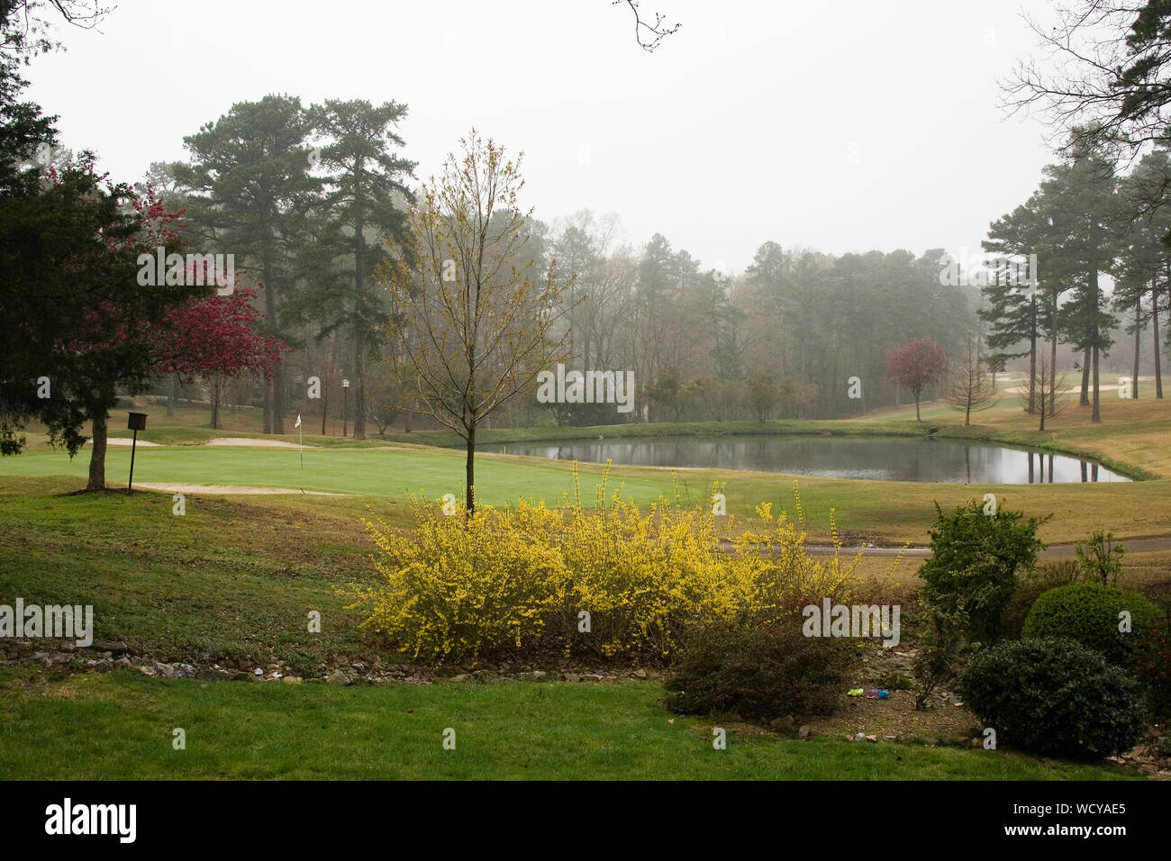 Springs blooms hi-res stock photography and images - Alamy