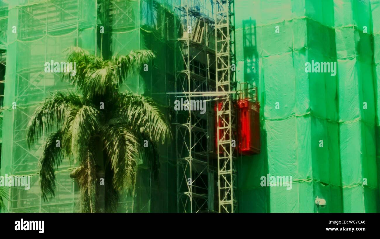 Tree scaffolding hi-res stock photography and images - Alamy