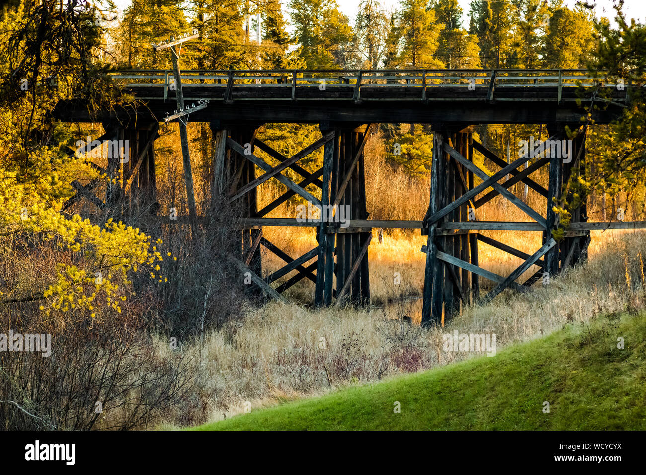 Old Railway Bridge Over Grass Area Stock Photo - Alamy