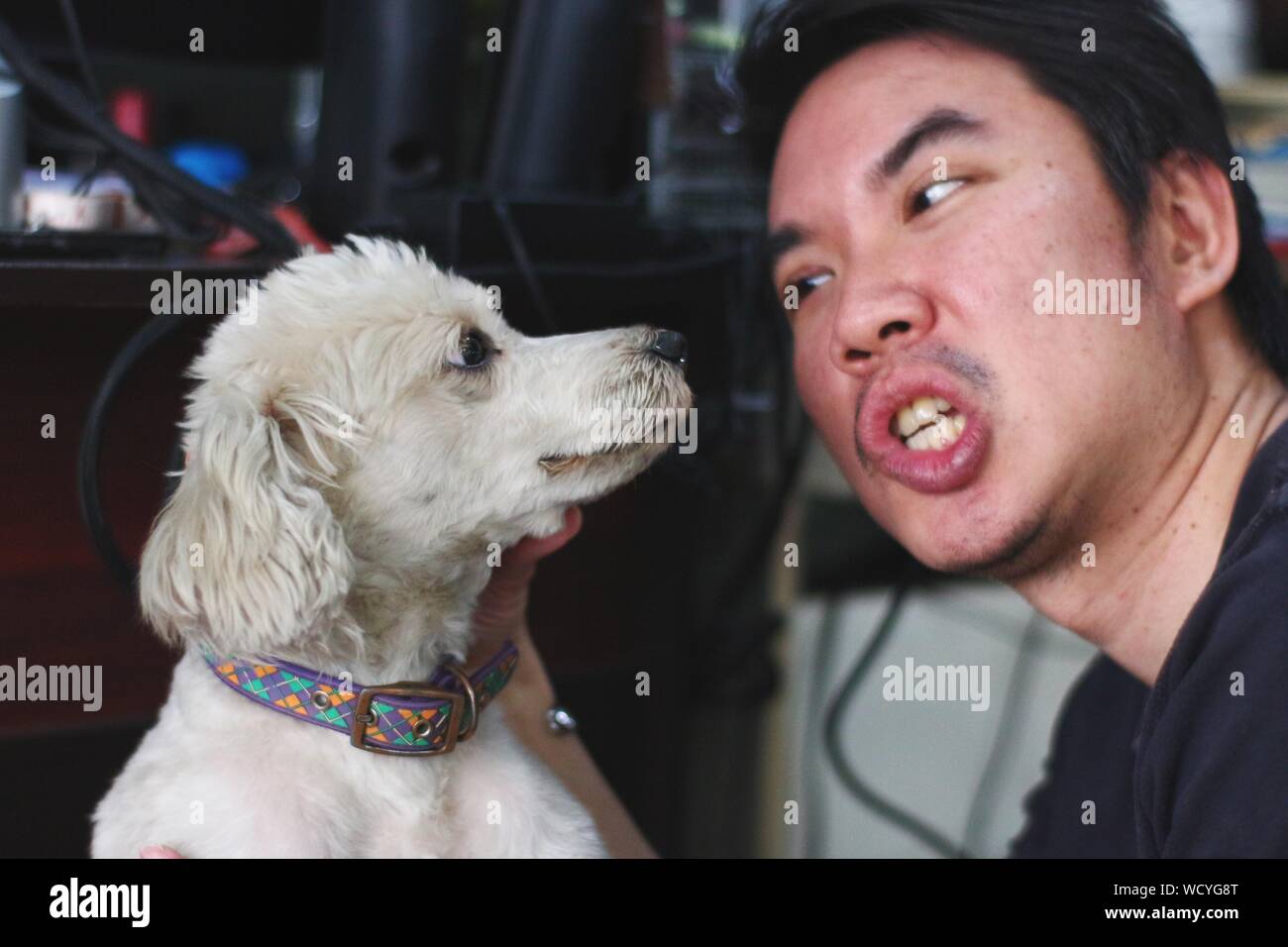 Man dog face to face hi-res stock photography and images - Alamy