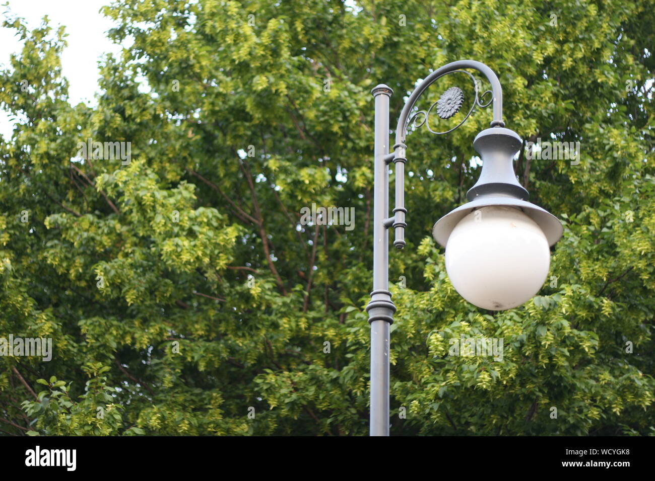 Lamp post and tree hi-res stock photography and images - Alamy